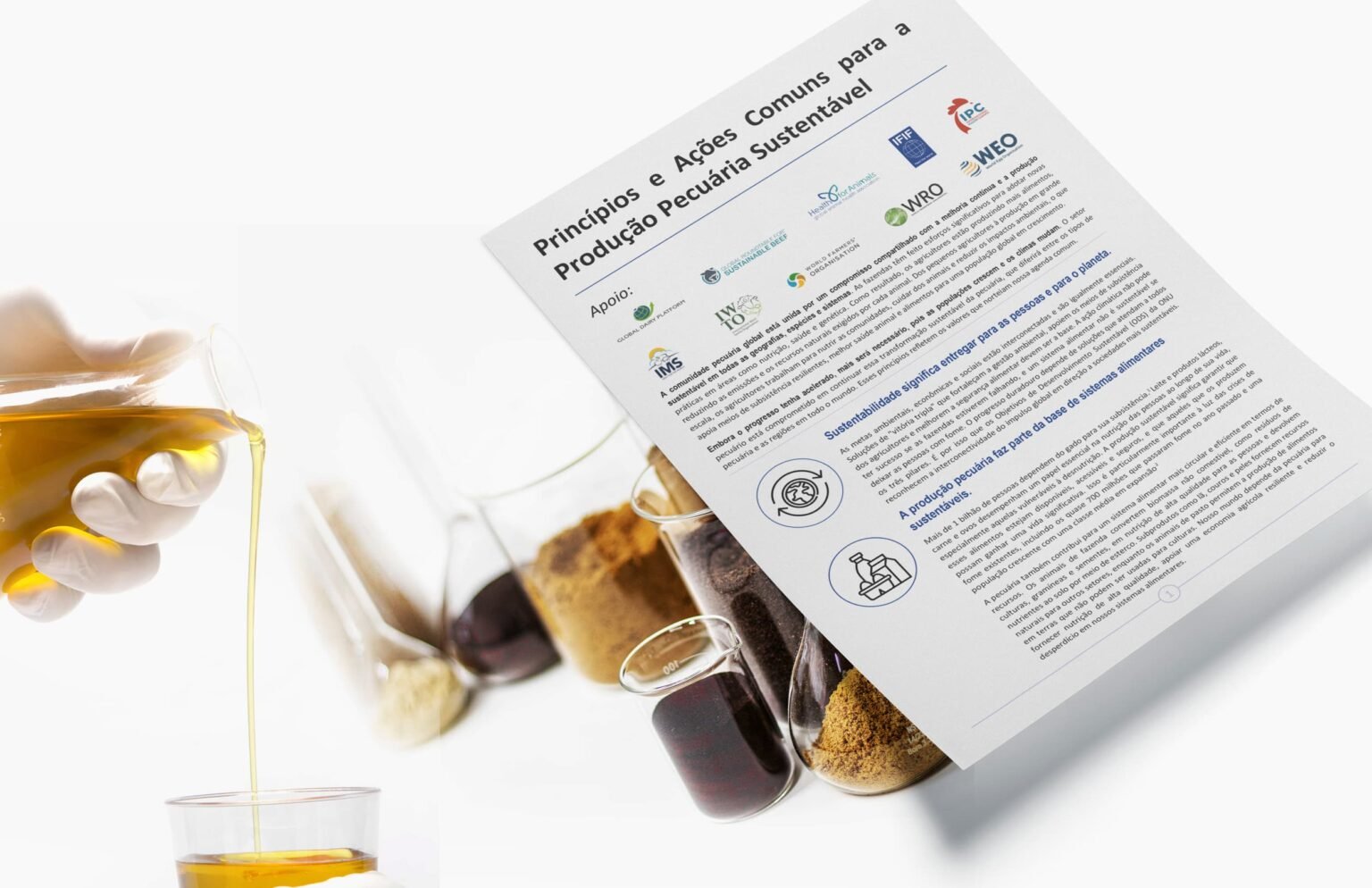 Animal Rendering is Recognized in a Global Livestock Sustainability ...